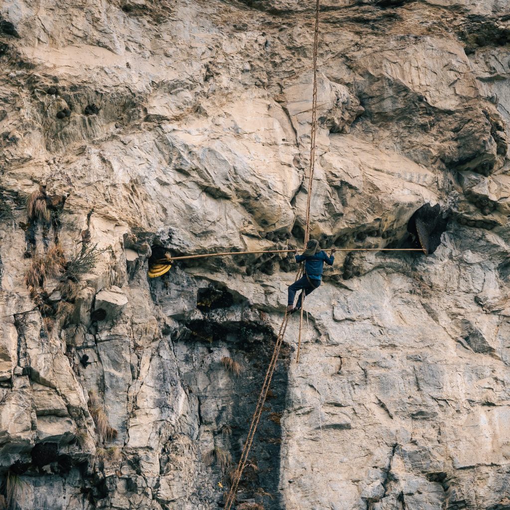 Mad Honey Hunting Tour in Nepal – An Exciting Journey with the Gurung ...