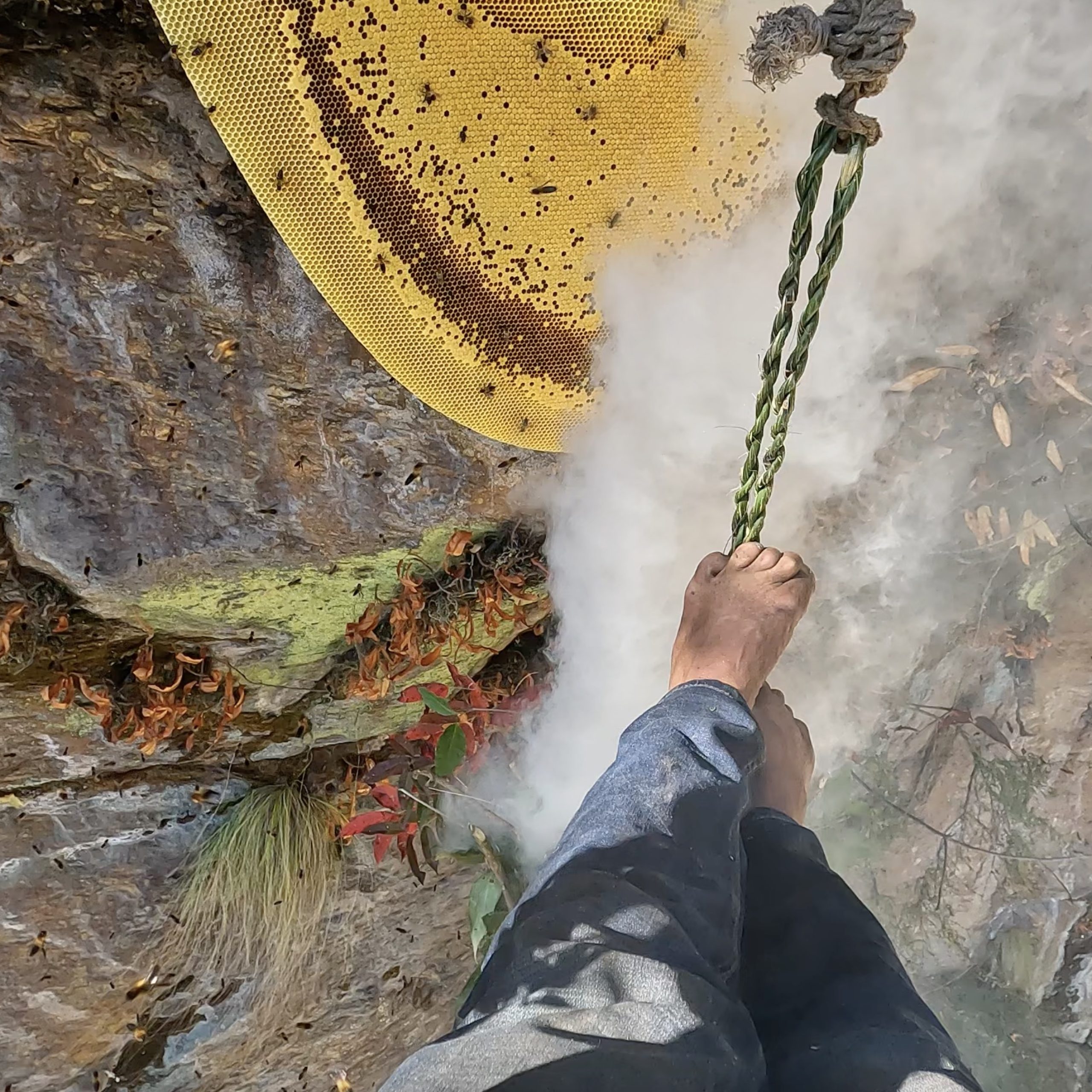 Honey Hunting Expedition - Adventure Series Nepal